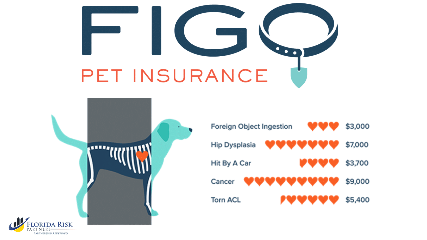 Florida Pet Insurance