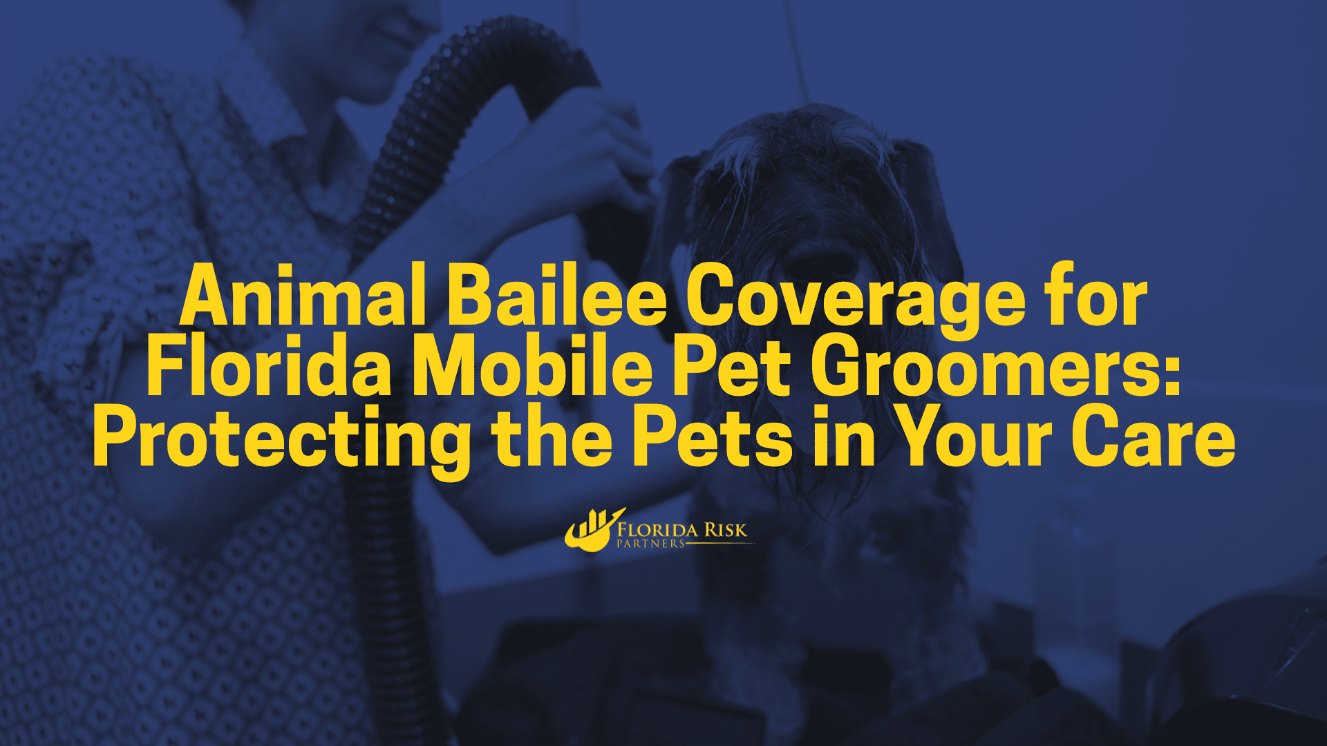 Animal Bailee Coverage for Florida Mobile Pet Groomers: Protecting the ...