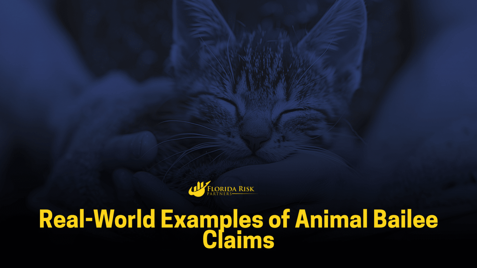 Animal Bailee Coverage for Florida Mobile Pet Groomers: Protecting the ...
